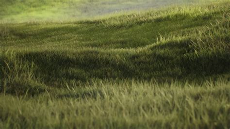 artstation on linkedin ue5 realtime unrealengine nature art