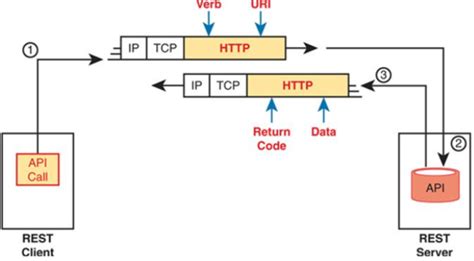 Understanding Rest And Json Flashcards Quizlet
