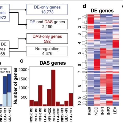 Differential Gene And Alternative Splicing Analysis In Five Barley Download Scientific Diagram