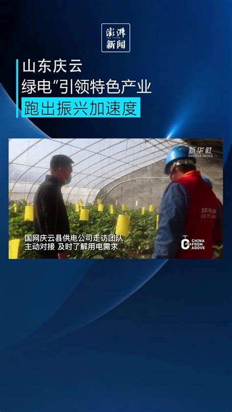 山东庆云“绿电”引领特色产业跑出振兴加速度凤凰网视频凤凰网