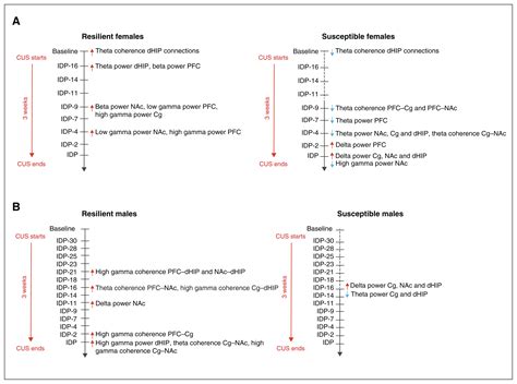 Sex Differences In Innate And Adaptive Neural Oscillatory Patterns Link