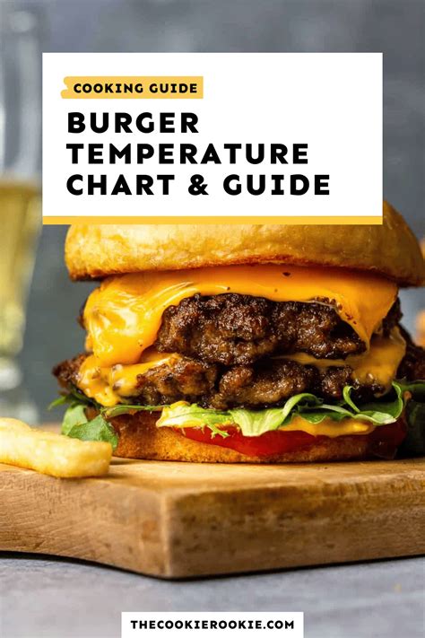 Burger Temperature Chart Artofit