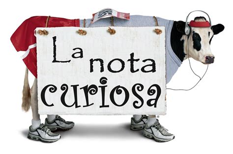 Parque Costazul La Nota Curiosa El Origen De La Palabra Macundales