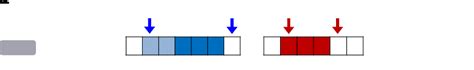 C Standard Library Finding Algorithms Hacking C