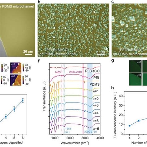 Field Emission Scanning Electron Microscopy Fesem Atomic Force