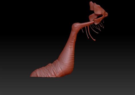 Star Wars Sci Fi Felucia 3d Printable Stuff 3d Model 3d Printable