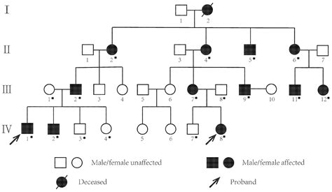 Jpm Free Full Text A Novel Pax6 Frameshift Mutation Identified In A