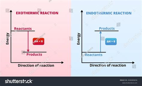 Endothermic Reaction Graph Labeled At Nicholas Bruny Blog