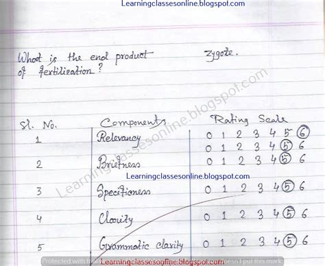 Microteaching Lesson Plan For English Grammar On Noun Illustration With Example Skill Artofit