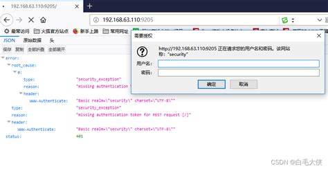 Elasticsearch的安全配置记录 技术分享 云服务器