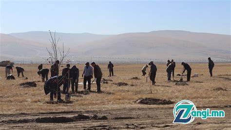 Zangi Mn Монгол цэргийн нэгдсэн холбоо “Эх орончдын мөнх ногоон төгөл” д 1000 гаруй мод тарив