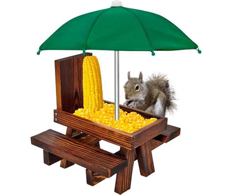 This Picnic Table Squirrel Feeder With Umbrella Is The Perfect Snacking Spot For Your Yard Squirrels