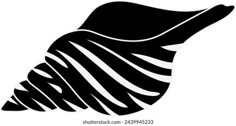 Conch Drawing Marine Nature Seashell Black Stock Vector Royalty Free 2439945233 Shutterstock