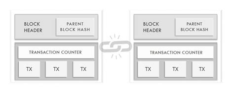 Decoding Tomorrow Traversing The Landscape Of Artificial Life By Rishabh Garg Bits Pilani