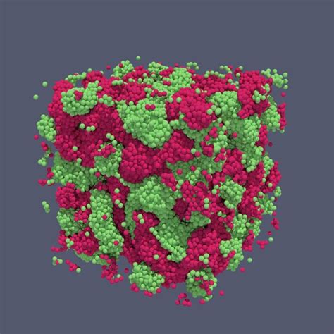 A Final Simulation State After Executing The Biocellion Cell Sorting Download Scientific