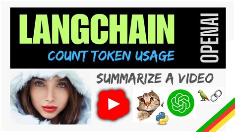 Langchain Summarize A Youtube Video Count Openai Token Usage 🦜️🔗