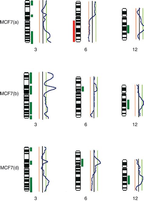 Cgh Ratio Profiles And Accompanying Idiograms For Selected Chromosomes Download Scientific