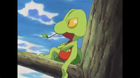 Treecko Pokemon Cute Images Anime