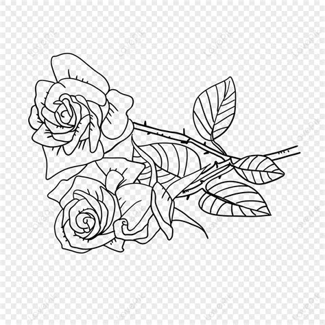 장소 선형 초안 흑백 일러스트 라인 장미 클립 아트포도 수확식물 Png 일러스트 무료 다운로드 Lovepik