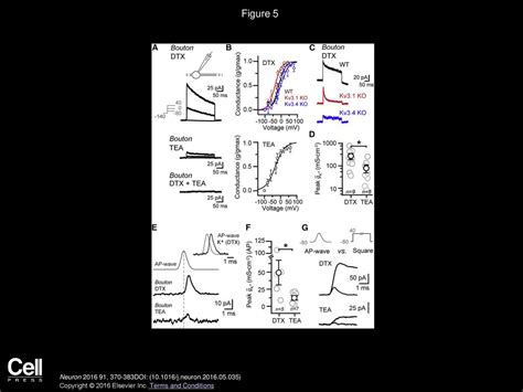 Volume Issue Pages July Ppt Download