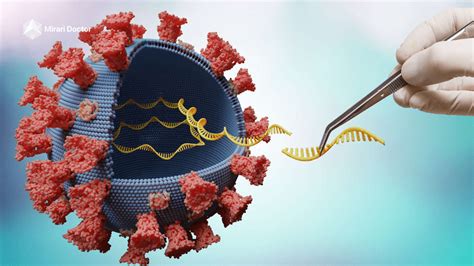 Demystifying The Baltimore Classification System For Sars Cov 2