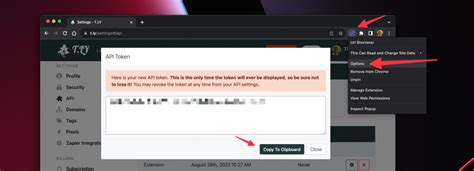 How To Add Your T Ly Api Key To Link Shortener Extension