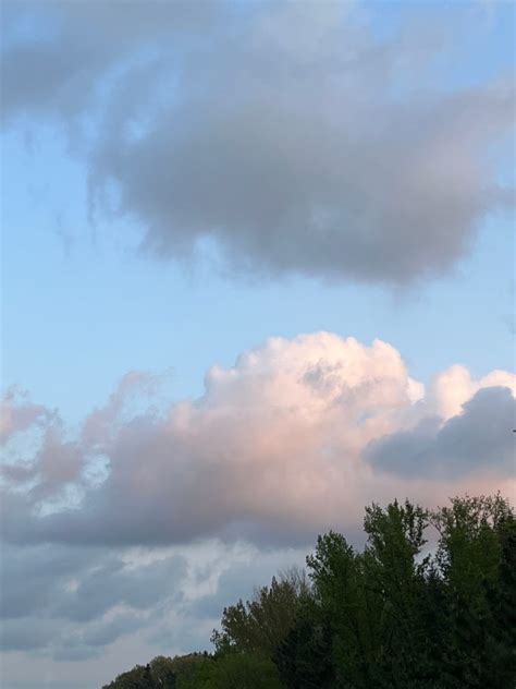 리트 Leet 시험 공부 기록 입법고시 추리논증 개념부터 다시 잡기 네이버 블로그