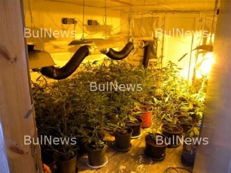 Удар Разбиха нарколаборатория в къща във Врачанско