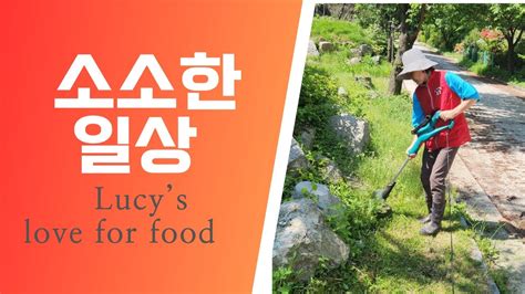 씨앗파종 첫단계 작은 생명 새로운 시작 Youtube