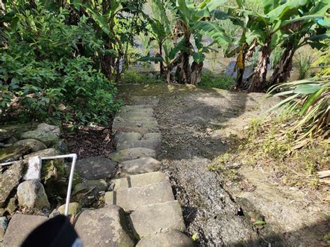 2023 018三峽經典郊山路線 III 一大厝坑山鳥嘴尖四秀雙港子山竹崙山麒麟山O型縱走 健行筆記
