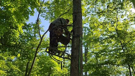 How To Use A Self Climbing Tree Stand For Successful Hunting