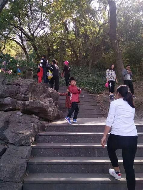 停產停業也要帶員工出去旅遊宿遷的這家家具廠真不孬 每日頭條