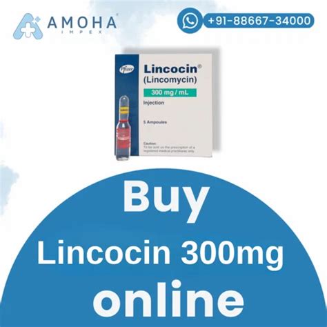 Lincocin Lincomycin 300mg 1ml Injection At ₹ 270 Vial In Surat Id 2852427036291
