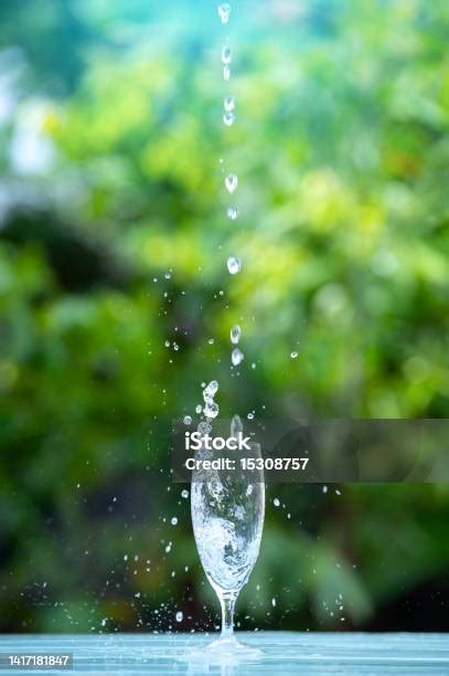 햇빛과 자연 녹색 배경 위에 유리에 쏟아지는 물을 마십니다 유리에 물 스플래시 초점 흐리게 배경선택 개념에 대한 스톡 사진 및 기타 이미지 Istock