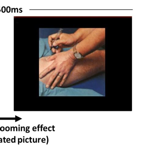 Scheme Of The Behavioral Approach Avoidance Task Download Scientific Diagram