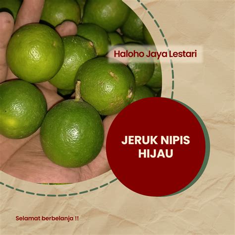 Jual Jeruk Nipis Hijau Segar 1kg Shopee Indonesia