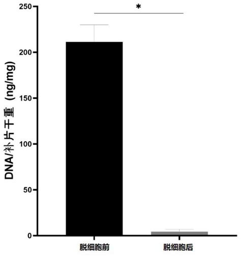 Biological Patch And Preparation Method Thereof Eureka Patsnap