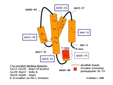 Complement Component 5a Alchetron The Free Social Encyclopedia