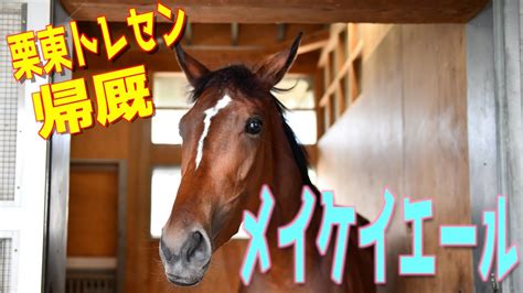 メイケイエール 栗東トレセンへ帰厩 Youtube
