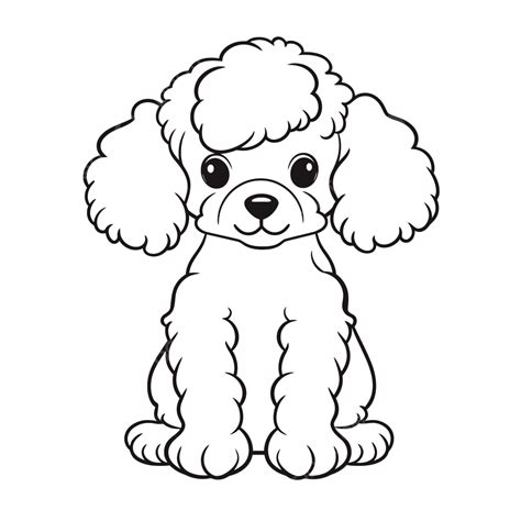 Hình ảnh Vẽ Trang Tô Màu Poodle Chó 47 Về Bản Phác Thảo Vectơ Png Vẽ