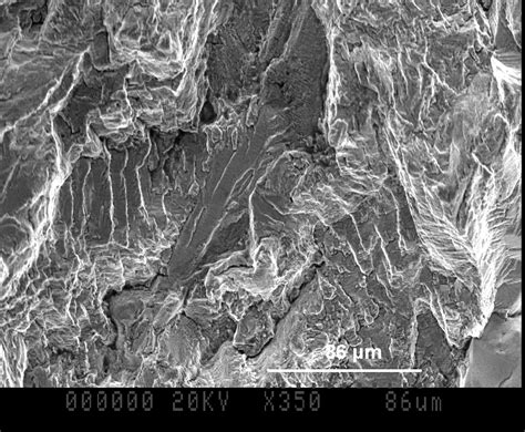 Fracture Surface In The Scc Zone Of A Copper Specimen B Download Scientific Diagram
