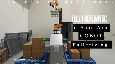 Fully Automatic Collaborative Cobot Palletizing Arm Machine With