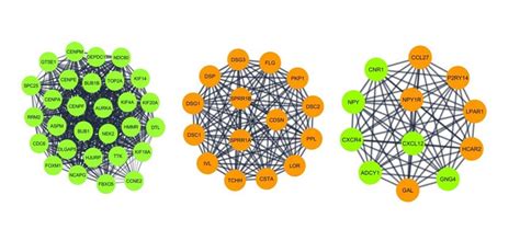 significant clusters identified from ppi using mcode plugin the