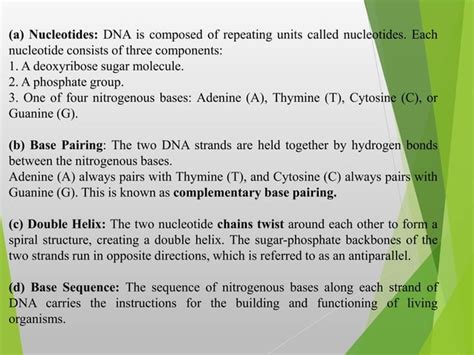 Dna And Rna Structure Functions Types Difference Similarities