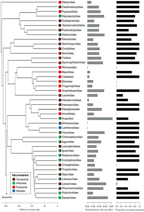 Microhabitat Usage Net Diversification Rates And Proportions Of