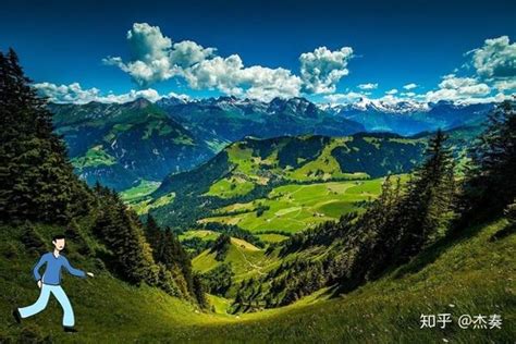 优化器optimizer 知乎