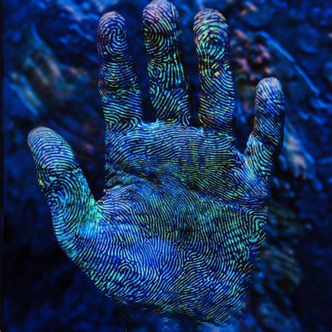 Palm Print Recognition Images Free Download On Freepik