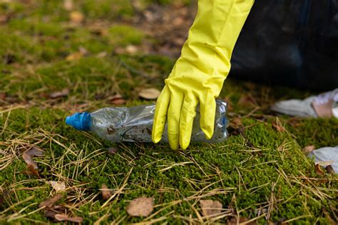 노란 장갑을 낀 손이 숲의 녹색 이끼에서 플라스틱 병을 집어 쓰레기 봉투에 넣습니다 여성 생태 수비수는 숲에서 쓰레기를 수거하여 오염으로부터 보호합니다 6 7 살에 대한
