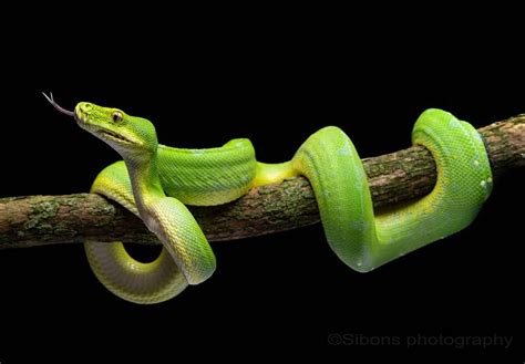 python is there a way i can make my football shot map